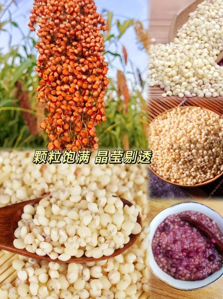 高粱米饭怎么做好吃_高粱米饭热量高吗-第1张图片-山城妙识 高粱米饭怎么做好吃_高粱米饭热量高吗-第1张图片-山城妙识