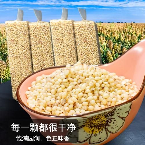 高粱米饭怎么做好吃_高粱米饭热量高吗-第2张图片-山城妙识 高粱米饭怎么做好吃_高粱米饭热量高吗-第2张图片-山城妙识