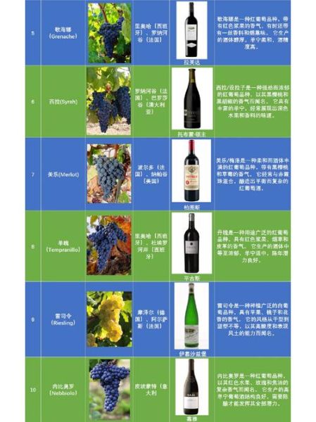 酿酒葡萄品种有哪些_如何挑选适合酿酒的葡萄-第1张图片-山城妙识