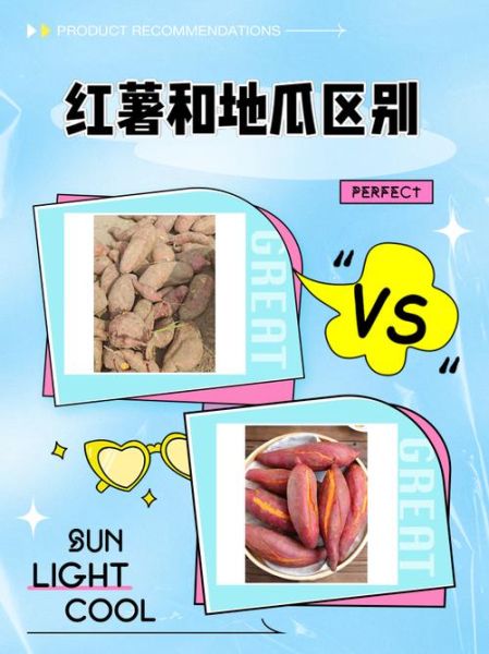 红薯和地瓜的区别_哪个更有营养-第2张图片-山城妙识