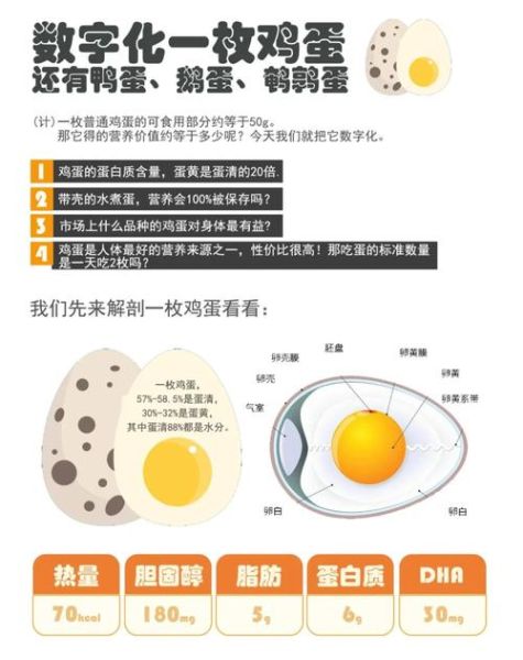鸡蛋的营养价值及功效与作用_鸡蛋的禁忌有哪些-第2张图片-山城妙识