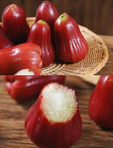 莲雾好吃吗_莲雾什么味道-第1张图片-山城妙识