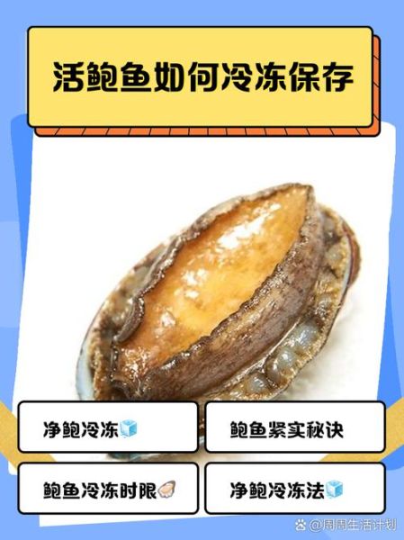 鲍鱼怎么保存_鲍鱼怎么清洗-第1张图片-山城妙识