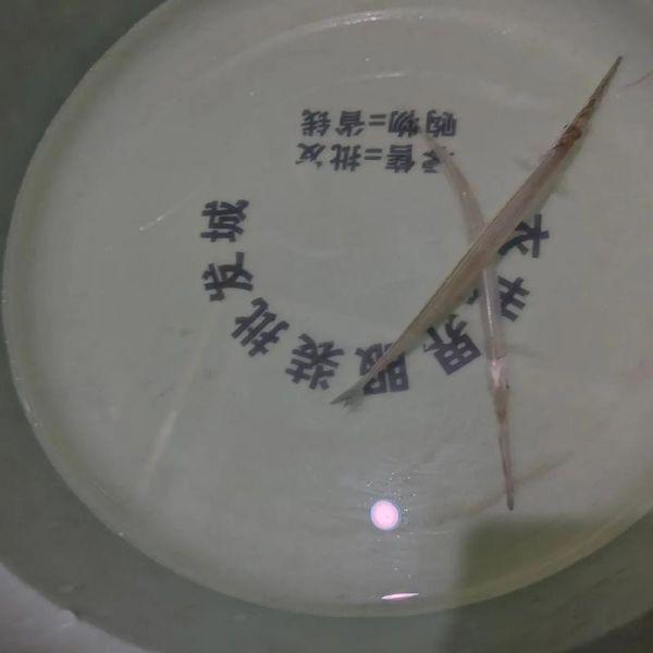 针鱼多少钱一斤_针鱼价格行情-第3张图片-山城妙识