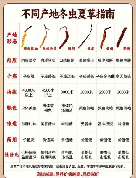 虫草价格多少钱一斤_冬虫夏草多少钱一斤-第2张图片-山城妙识 虫草价格多少钱一斤_冬虫夏草多少钱一斤-第2张图片-山城妙识