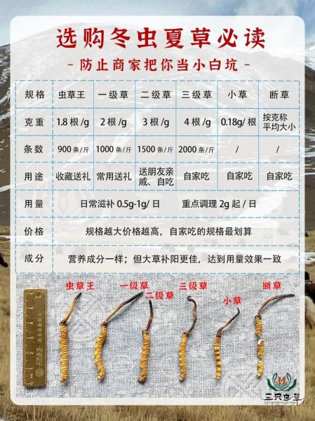 虫草价格多少钱一斤_冬虫夏草多少钱一斤-第1张图片-山城妙识 虫草价格多少钱一斤_冬虫夏草多少钱一斤-第1张图片-山城妙识