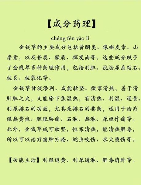 金钱草泡水喝能排肾结石吗_金钱草排石原理与风险-第1张图片-山城妙识