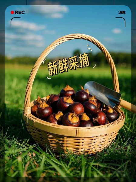 马蹄怎么凉拌好吃_马蹄凉拌的做法大全-第3张图片-山城妙识