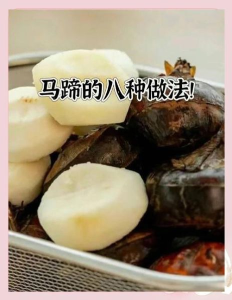 马蹄怎么凉拌好吃_马蹄凉拌的做法大全-第2张图片-山城妙识