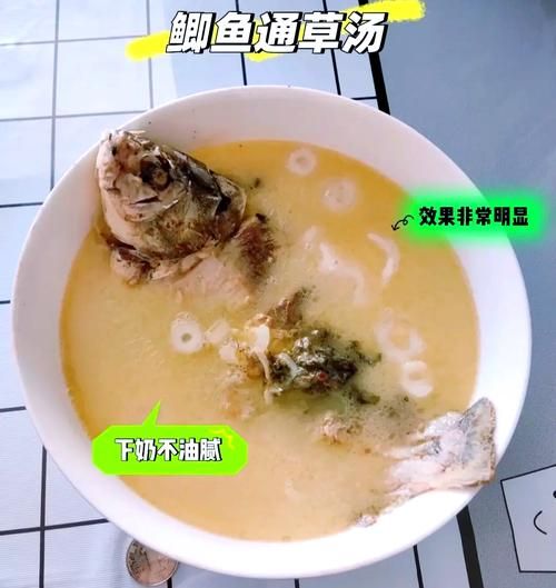 通草鲫鱼汤的做法_通草鲫鱼汤下奶效果好吗-第1张图片-山城妙识