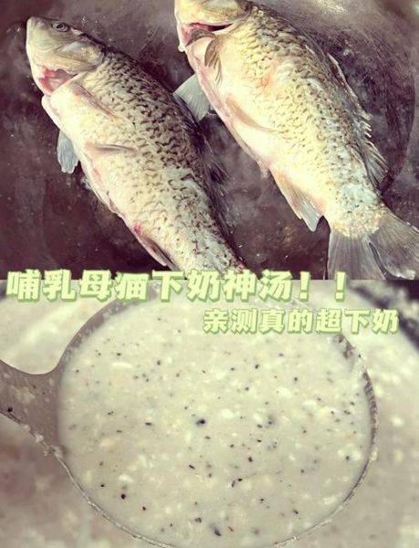 通草鲫鱼汤的做法_通草鲫鱼汤下奶效果好吗-第3张图片-山城妙识