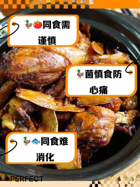 鸭肉和什么蔬菜搭配最好_鸭肉不能和哪些食物一起吃-第1张图片-山城妙识 鸭肉和什么蔬菜搭配最好_鸭肉不能和哪些食物一起吃-第1张图片-山城妙识