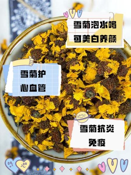 雪菊的功效与禁忌_雪菊什么人不能喝-第2张图片-山城妙识