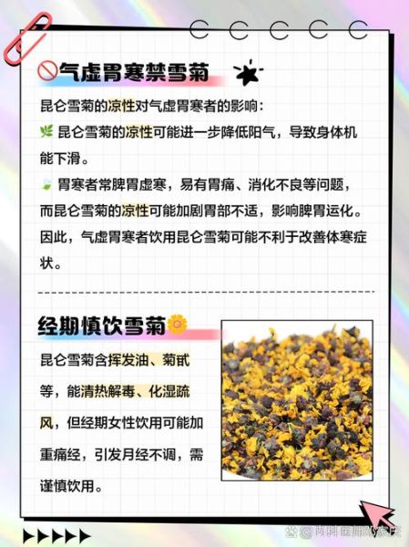 雪菊的功效与禁忌_雪菊什么人不能喝-第1张图片-山城妙识