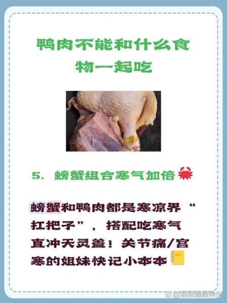 鸭肉和什么蔬菜搭配最好_鸭肉不能和哪些食物一起吃-第3张图片-山城妙识 鸭肉和什么蔬菜搭配最好_鸭肉不能和哪些食物一起吃-第3张图片-山城妙识