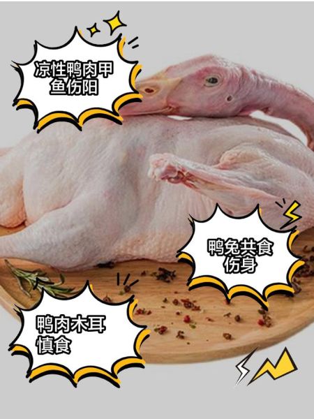 鸭肉和什么蔬菜搭配最好_鸭肉不能和哪些食物一起吃-第2张图片-山城妙识 鸭肉和什么蔬菜搭配最好_鸭肉不能和哪些食物一起吃-第2张图片-山城妙识