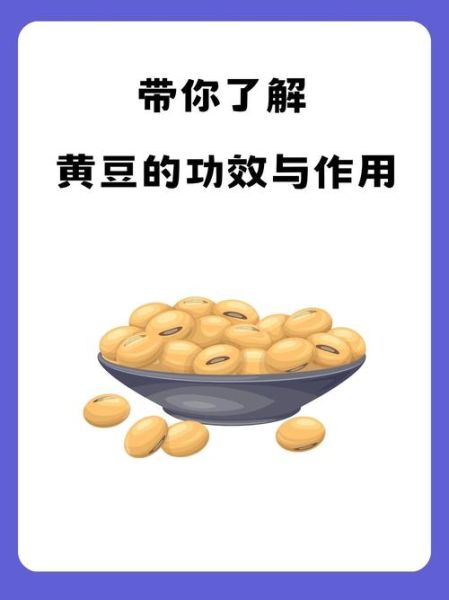 黄豆的功效与作用_黄豆怎么吃最养脾胃-第3张图片-山城妙识