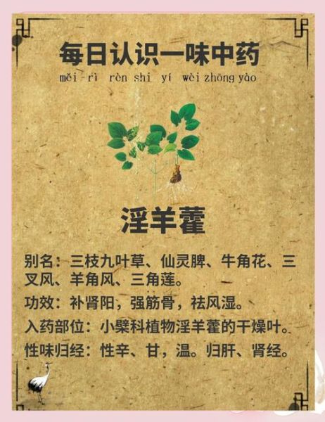 长期吃淫羊藿的副作用_安全服用多久-第2张图片-山城妙识