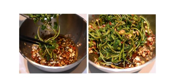 鲜马齿苋怎么吃最好_鲜马齿苋怎么凉拌-第1张图片-山城妙识 鲜马齿苋怎么吃最好_鲜马齿苋怎么凉拌-第1张图片-山城妙识