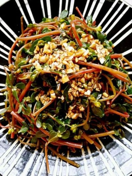 鲜马齿苋怎么吃最好_鲜马齿苋怎么凉拌-第2张图片-山城妙识 鲜马齿苋怎么吃最好_鲜马齿苋怎么凉拌-第2张图片-山城妙识