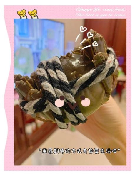 螃蟹怎么洗干净_活蟹清洗步骤-第3张图片-山城妙识
