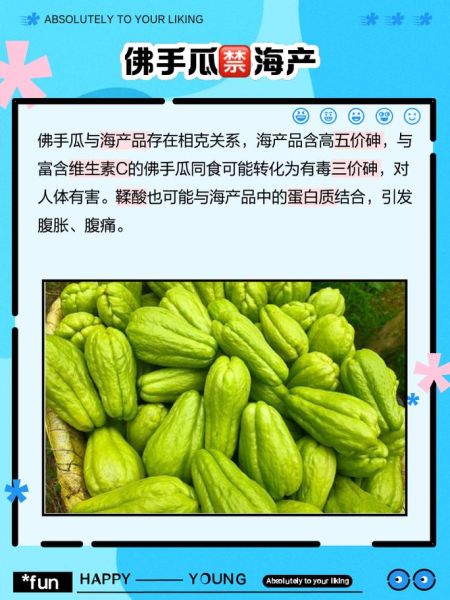 佛手瓜不能和什么一起吃_佛手瓜哪些人不能吃-第3张图片-山城妙识