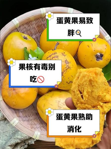 蛋黄果什么人不能吃_蛋黄果禁忌人群-第3张图片-山城妙识