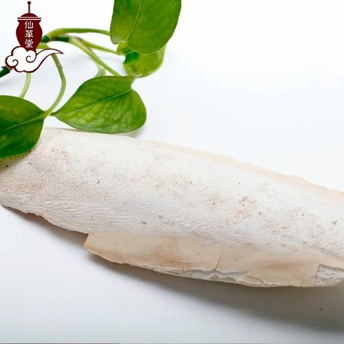 乌贼骨别名有哪些_乌贼骨和海螵蛸一样吗-第1张图片-山城妙识