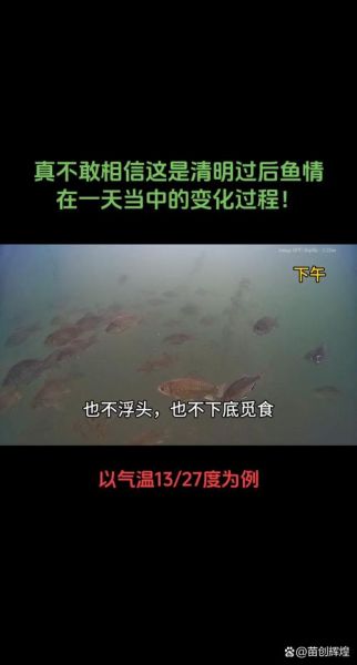 鲫鱼粤语读音_鲫鱼粤语点读-第3张图片-山城妙识