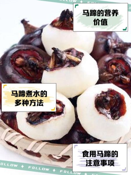 马蹄果和荸荠怎么吃_生吃还是熟吃更好-第1张图片-山城妙识 马蹄果和荸荠怎么吃_生吃还是熟吃更好-第1张图片-山城妙识