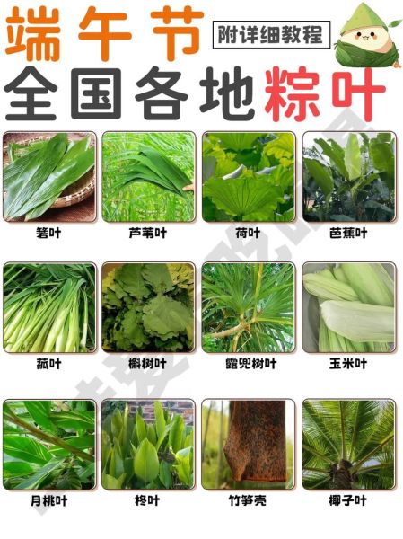 粽子叶泡多久才可以煮_粽子叶要泡多长时间才能包-第1张图片-山城妙识