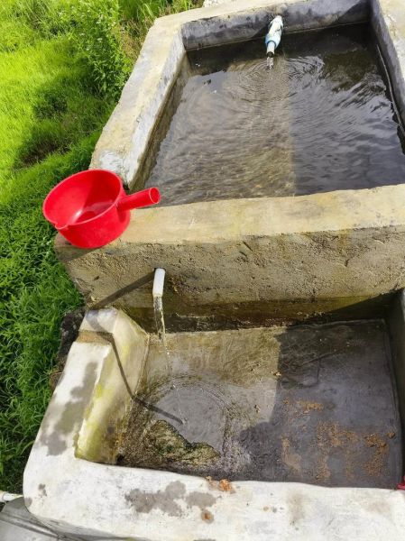 粽子叶泡多久才可以煮_粽子叶要泡多长时间才能包-第3张图片-山城妙识