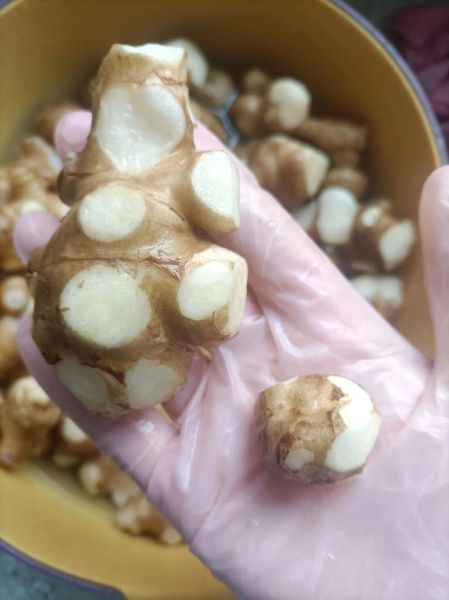 鬼子姜怎么腌制_鬼子姜腌制方法大全-第2张图片-山城妙识