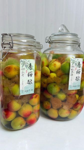 青梅酒泡多久可以喝_青梅酒泡制时间-第3张图片-山城妙识