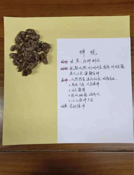 蝉蜕的功效与作用_蝉蜕能治哪些病-第2张图片-山城妙识