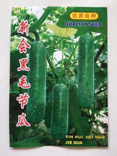 黑毛节瓜是什么瓜_黑毛节瓜和普通节瓜区别-第3张图片-山城妙识