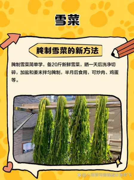 雪菜是什么菜做的_雪菜和梅干菜一样吗-第3张图片-山城妙识 雪菜是什么菜做的_雪菜和梅干菜一样吗-第3张图片-山城妙识