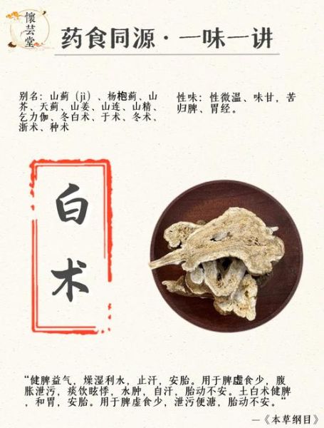 白术的功效与作用_白术主治哪些病-第1张图片-山城妙识 白术的功效与作用_白术主治哪些病-第1张图片-山城妙识