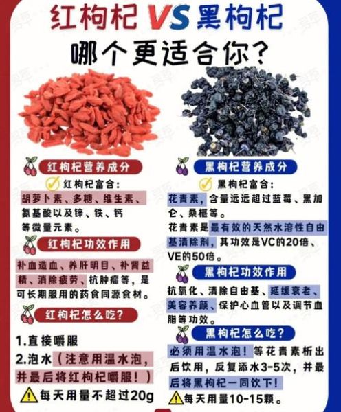 黑枸杞泡水一次泡几颗_黑枸杞的功效与作用-第1张图片-山城妙识 黑枸杞泡水一次泡几颗_黑枸杞的功效与作用-第1张图片-山城妙识