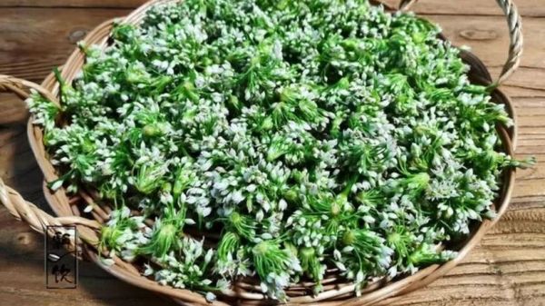 韭花酱腌制扁豆怎么做_扁豆用韭花酱腌多久能入味-第3张图片-山城妙识