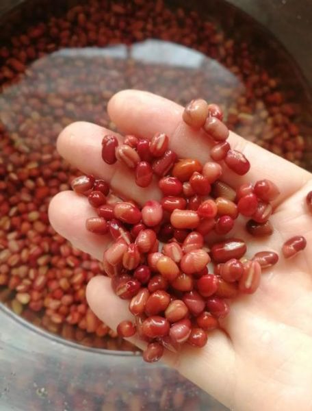 豆沙怎么做简单又好吃_自制红豆沙零失败技巧-第3张图片-山城妙识