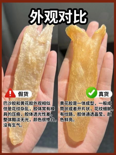 鱼胶和花胶有什么区别_哪个更滋补-第2张图片-山城妙识