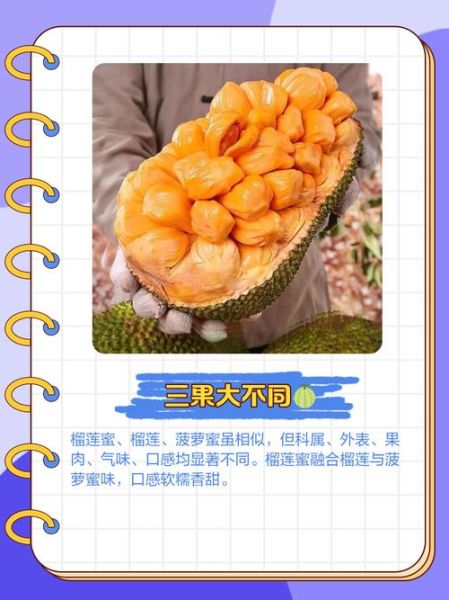 榴莲蜜和榴莲哪个好吃_口感区别大吗-第2张图片-山城妙识