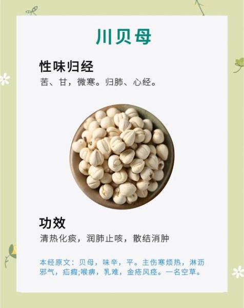 贝母价格是多少钱一克_川贝母多少钱一克-第2张图片-山城妙识