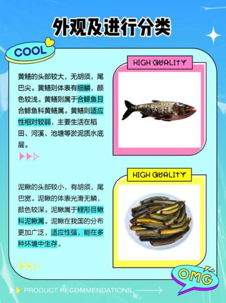 黄鳝和泥鳅的区别_黄鳝和泥鳅的功效哪个好-第1张图片-山城妙识 黄鳝和泥鳅的区别_黄鳝和泥鳅的功效哪个好-第1张图片-山城妙识