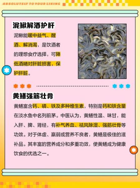 黄鳝和泥鳅的区别_黄鳝和泥鳅的功效哪个好-第2张图片-山城妙识 黄鳝和泥鳅的区别_黄鳝和泥鳅的功效哪个好-第2张图片-山城妙识