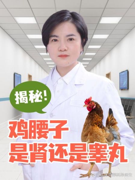 鸡腰子的功效与作用_鸡腰子什么人不能吃-第2张图片-山城妙识 鸡腰子的功效与作用_鸡腰子什么人不能吃-第2张图片-山城妙识