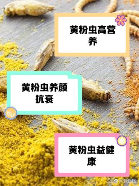 黄粉虫的功效与作用_黄粉虫怎么吃最有营养-第1张图片-山城妙识