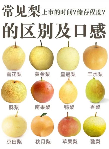 雪花梨和鸭梨的区别_哪个更好吃-第1张图片-山城妙识