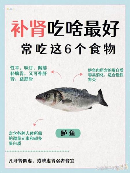 男人吃什么补肾_肾虚吃什么食物最好-第1张图片-山城妙识 男人吃什么补肾_肾虚吃什么食物最好-第1张图片-山城妙识